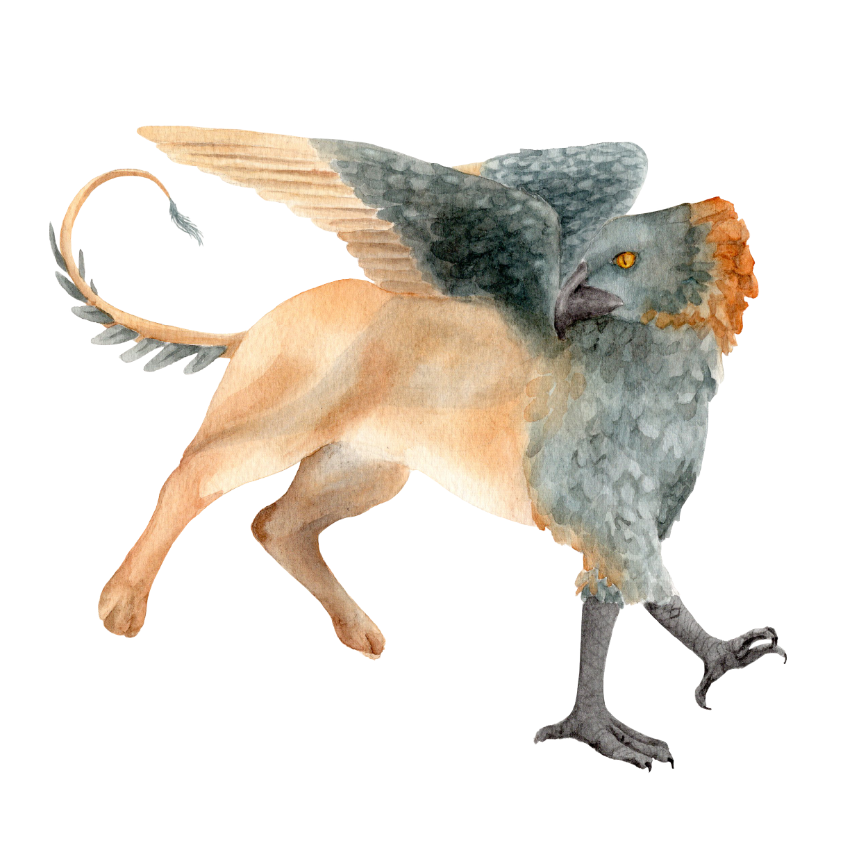 Grimm's Guide: Griffin